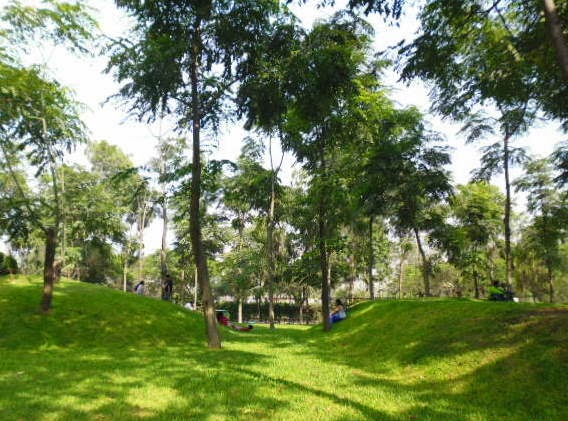 LUGARES TURÍSTICOS EN PERÚ: LUGARES TURÍSTICOS DE COMAS