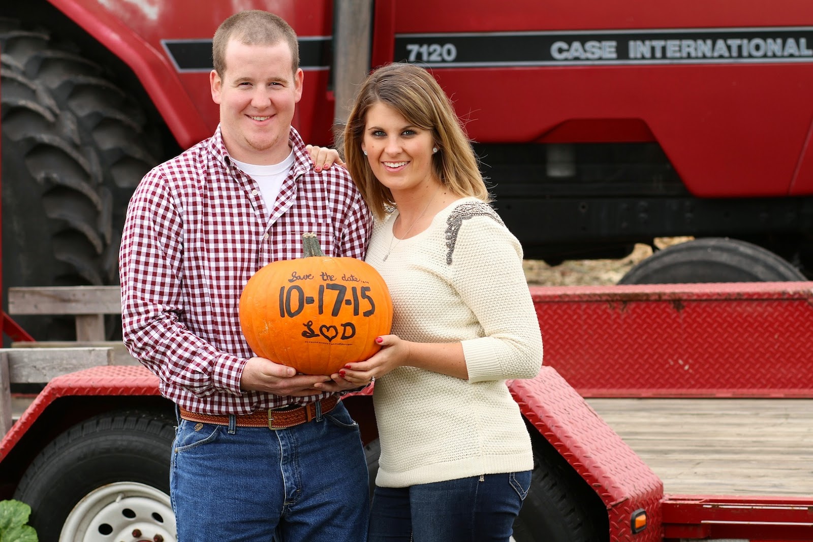 Josh and Joe Travels: Danielle + Luke E-Session - Springfield IL ...