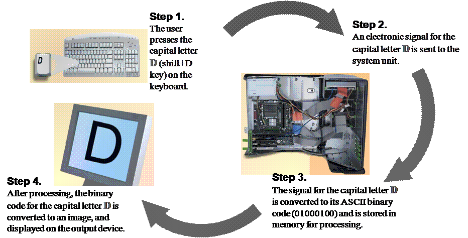 Informacion de Libioteca: Hardware Components (input, output, memory ...