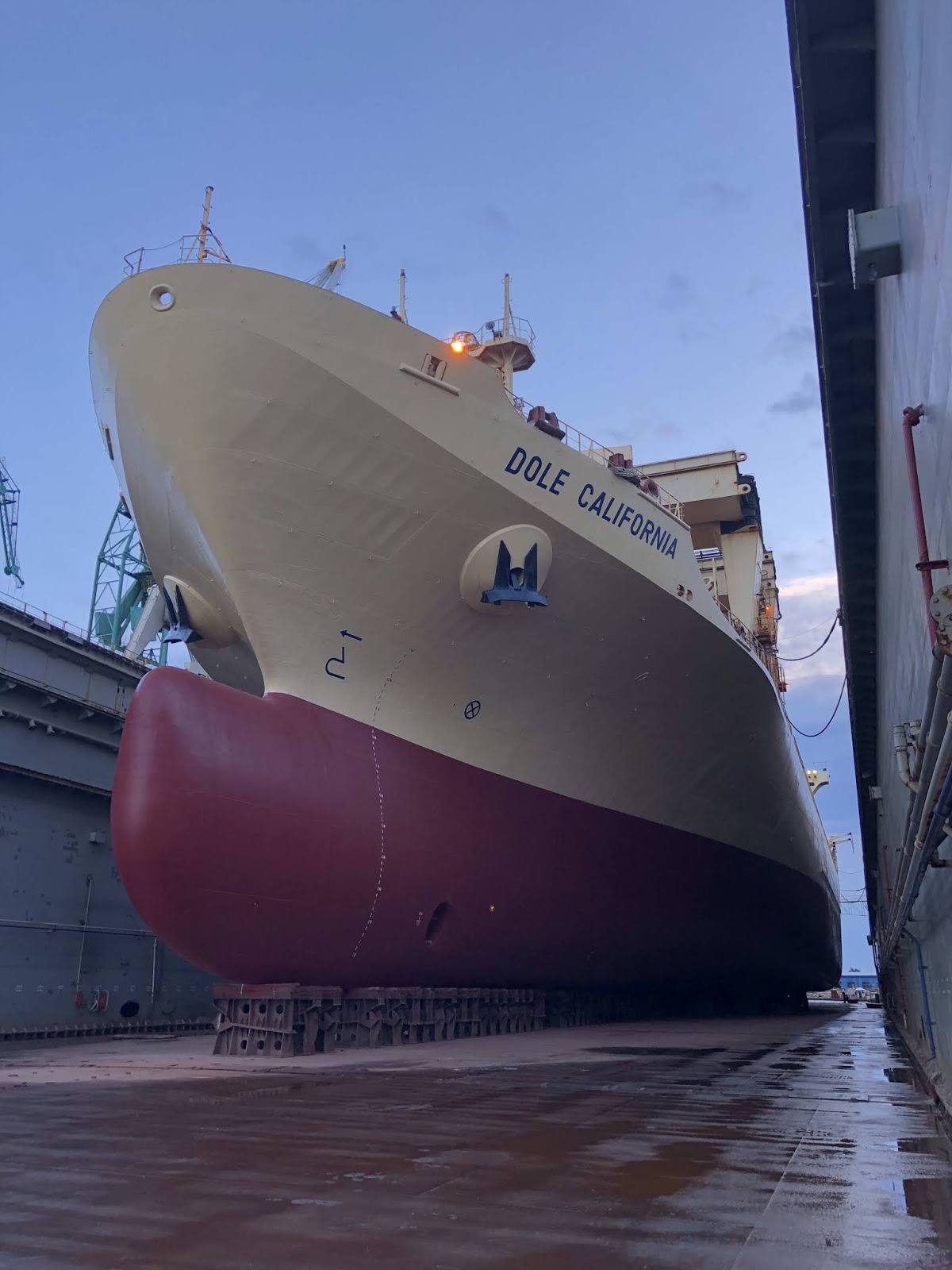 My Vintage Journeys: VINTAGE BANANA BOAT -- SAN DIEGO BAY