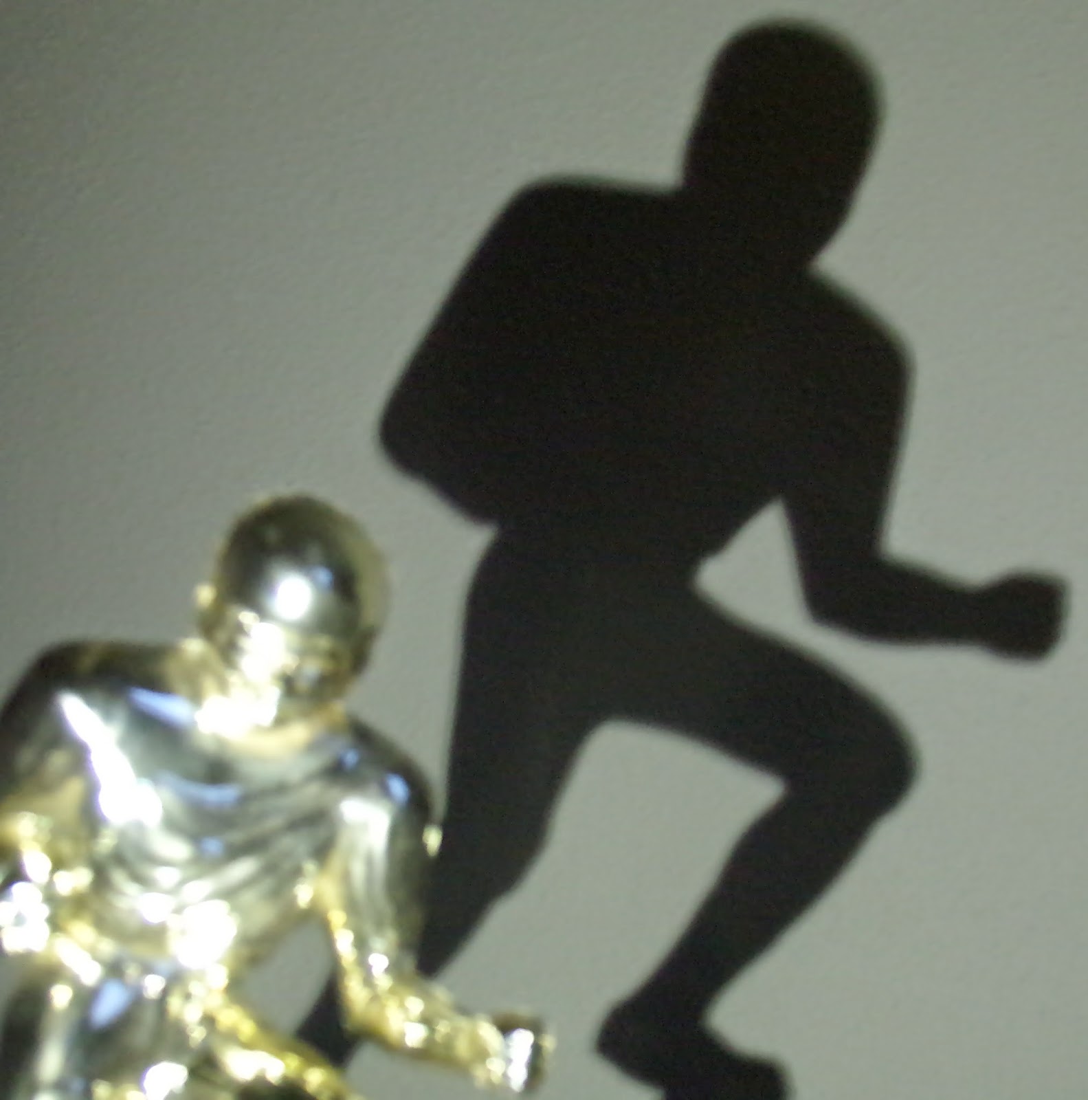 Forward Photography: Shadows and Zoom