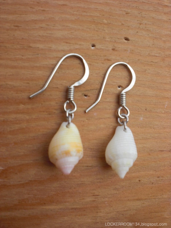 LOCKERROOM134: Sea-shells from jamaica