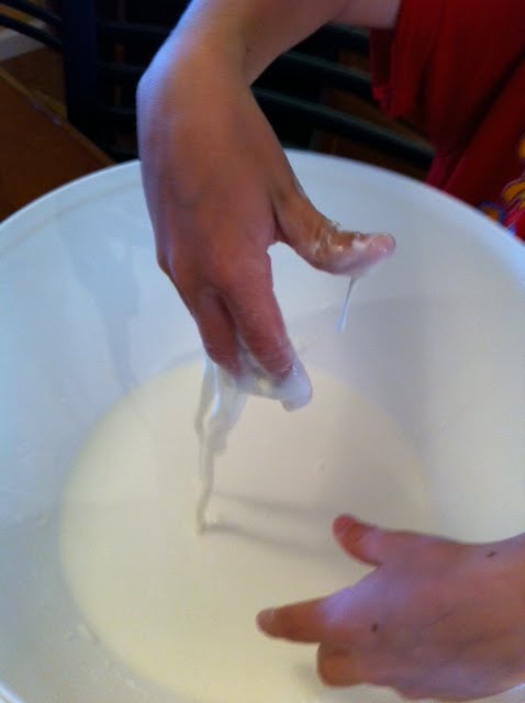 Juliebeane: Quinn's Science Fair Project