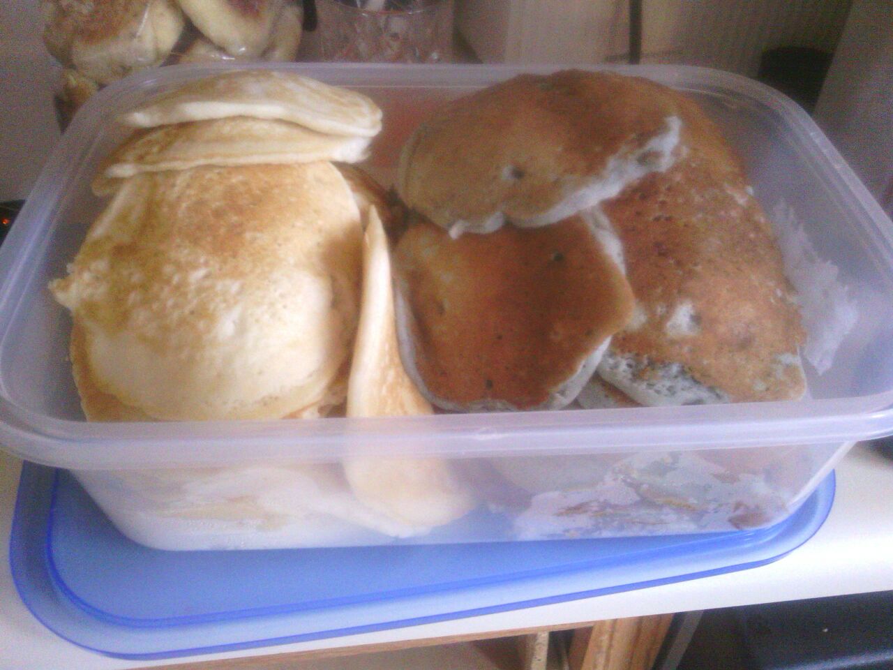 The Make Do Mom~Fun Frugal Homemaking