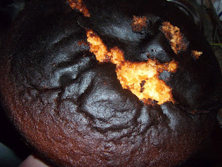 5 Ways to Salvage your Ruined Cake