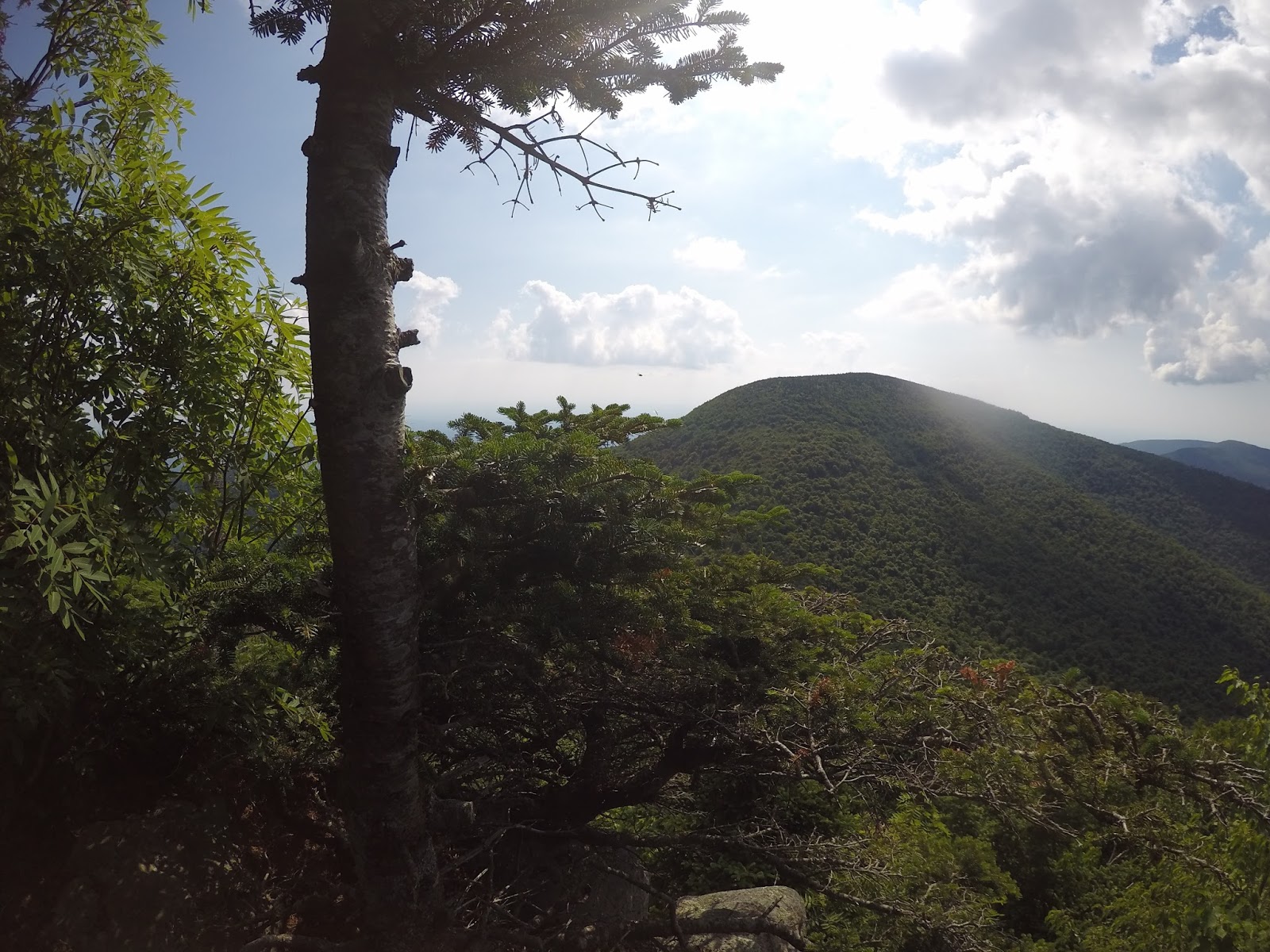 Hartland Hiker: Blackhead Range overnight