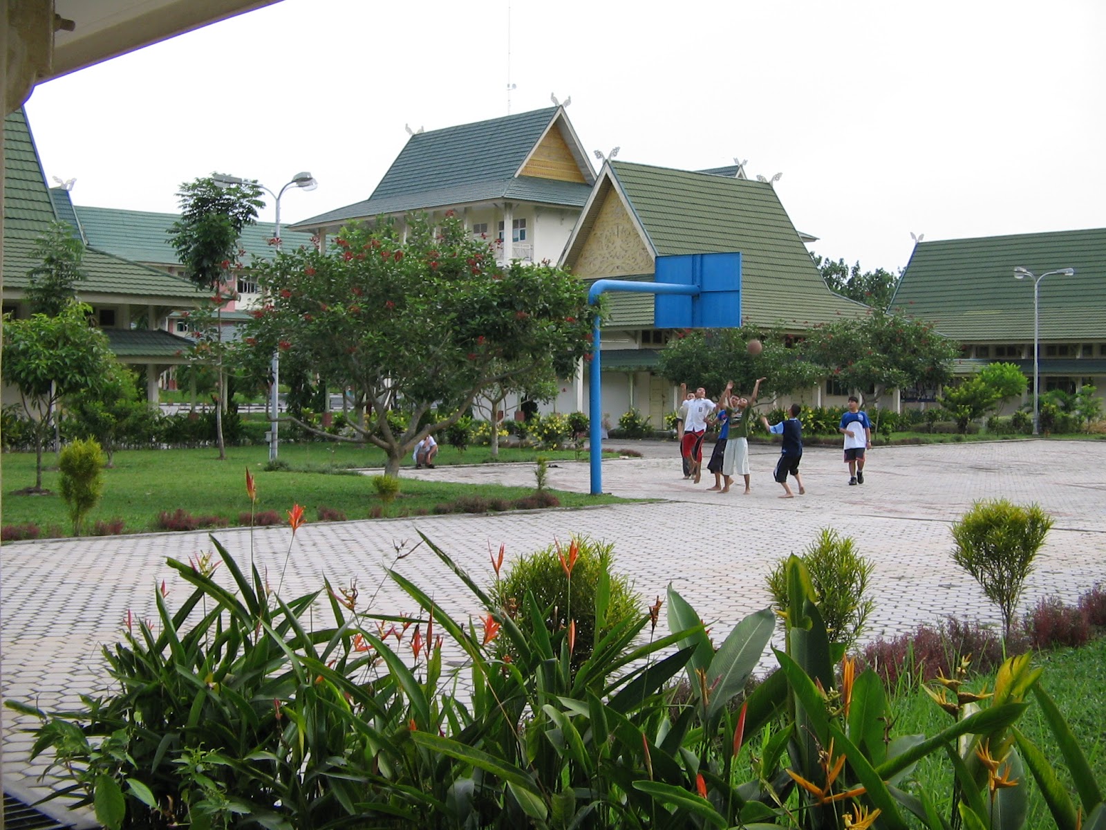 SMAN Plus Propinsi Riau | Fian Syauqi