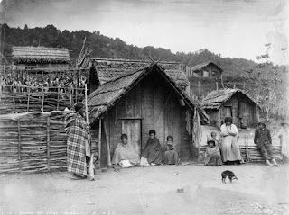 THE GRANDMA'S LOGBOOK ---: NEW ZEALAND: MAORI AND EUROPEAN SETTLEMENTS