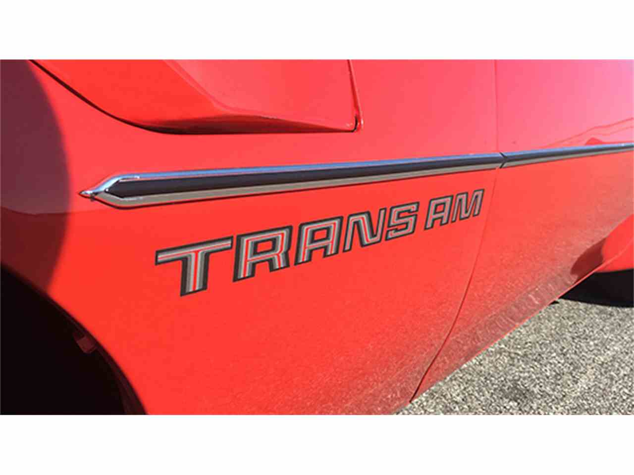 Experience the Iconic American Muscle Car: Trams Am 1979 - History ...