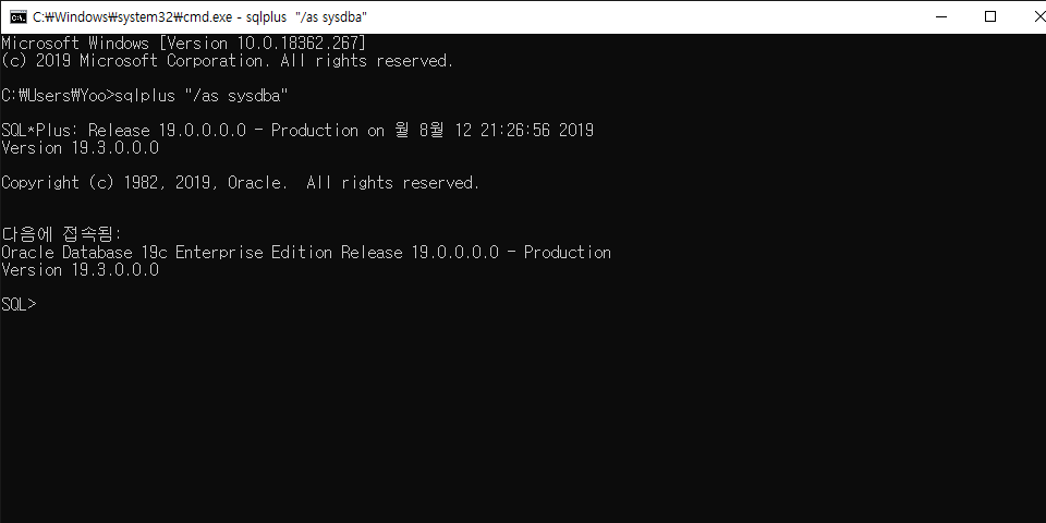 개나 소나 개발자: SQL Developer를 설치해보자