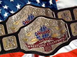 International Object: AWA World Tag Team Title