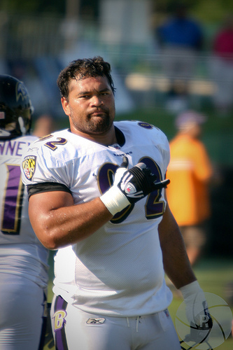 Haltoi Ngata NFL Best Player Latest Photographs | Sports Stars
