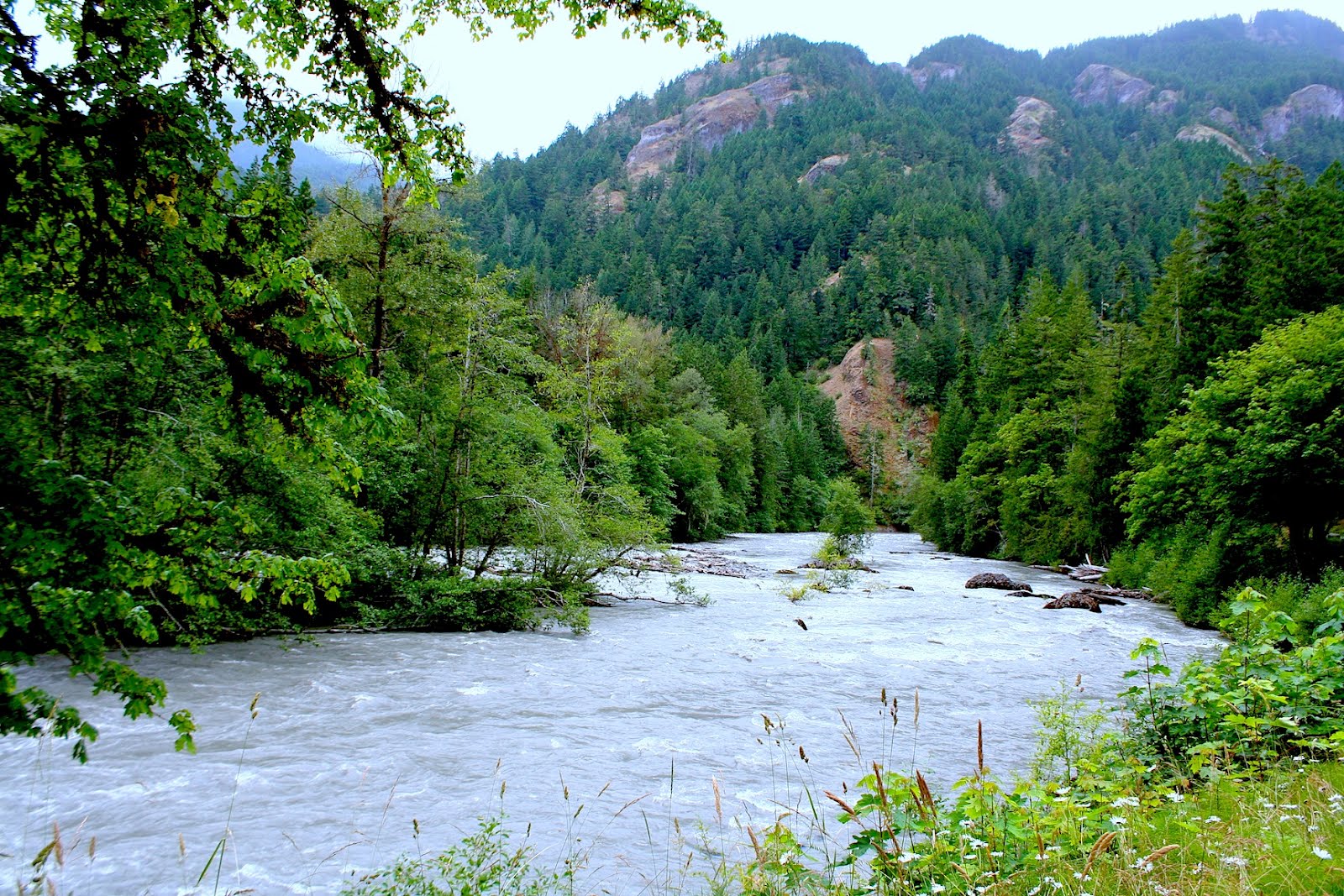 BOHEMIAN adventures: Showing my son the Olympic peninsula
