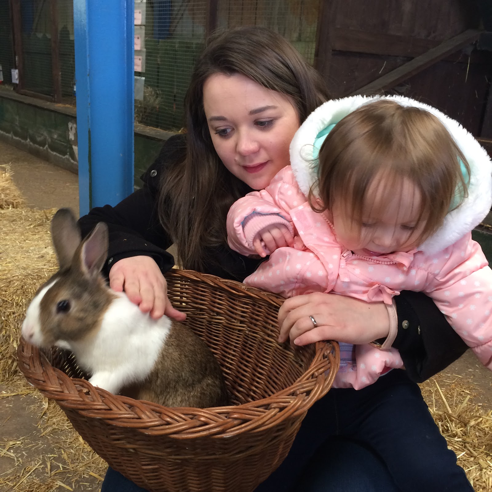Explore The Adventure: Ash End Children's Farm — Mimi Rose and Me