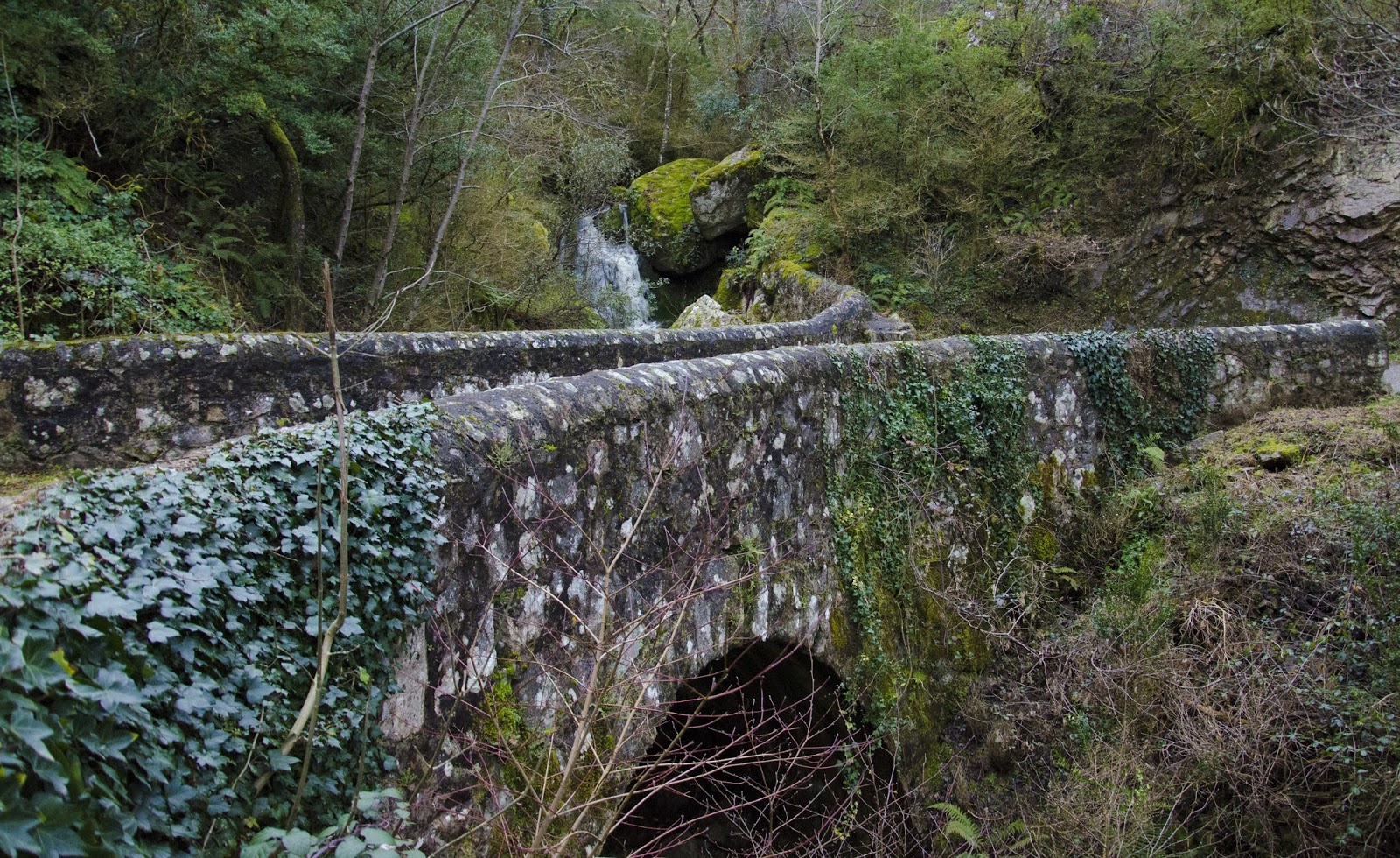 DROMESCAPE - Randonnées en Drôme et Escapades photographiques: Les ...