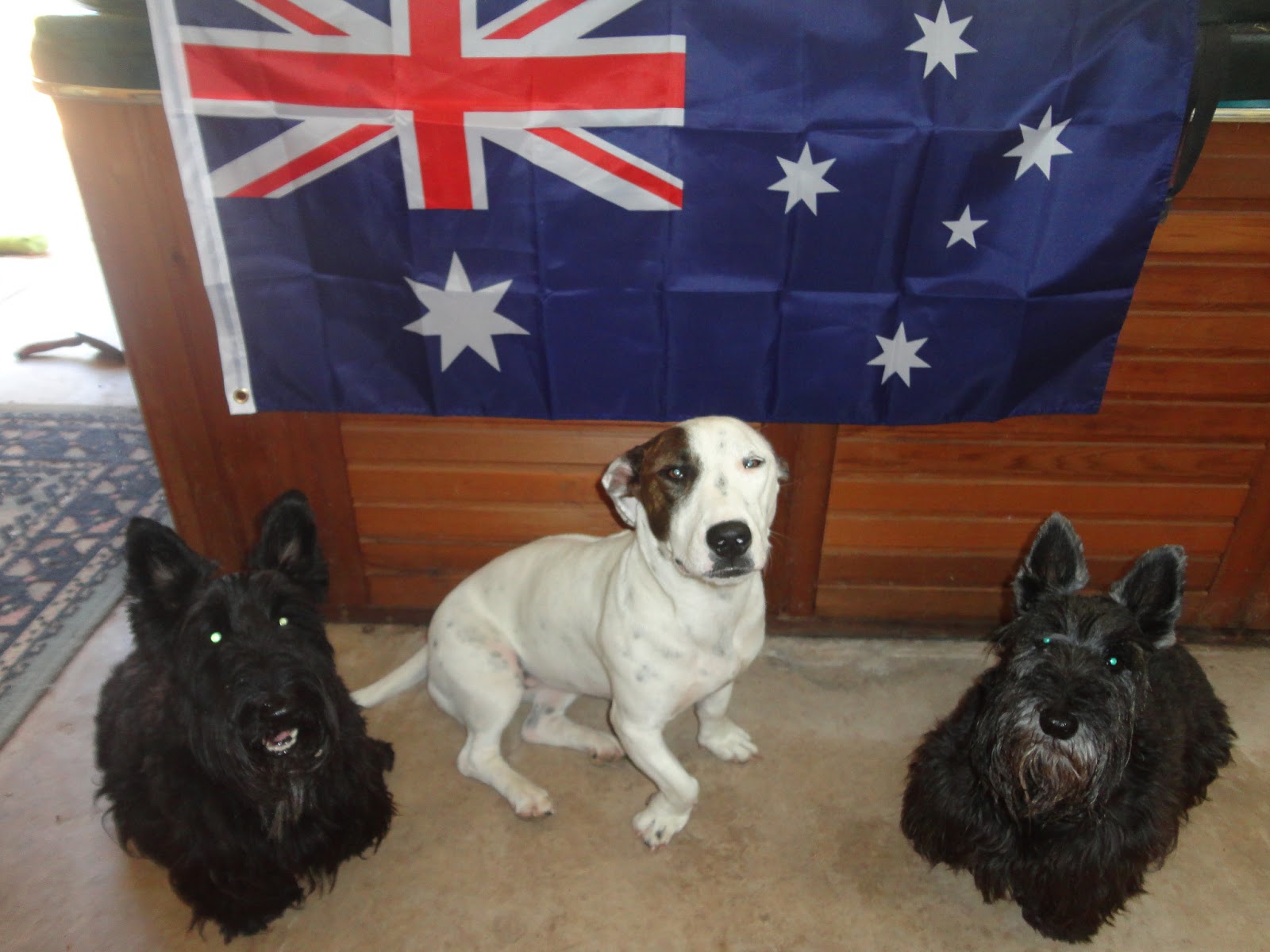 Downunder Daisy: Tasty Tuesday--Aussie Hamburgers