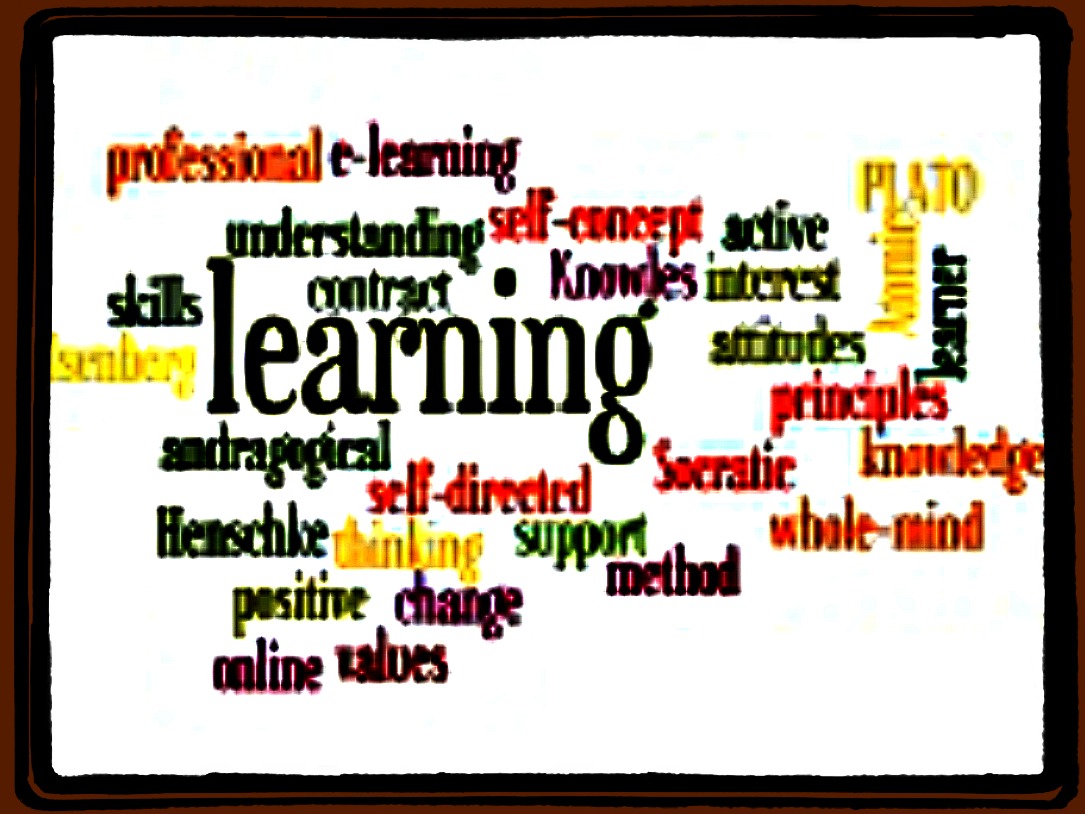 The World According to Andragogy