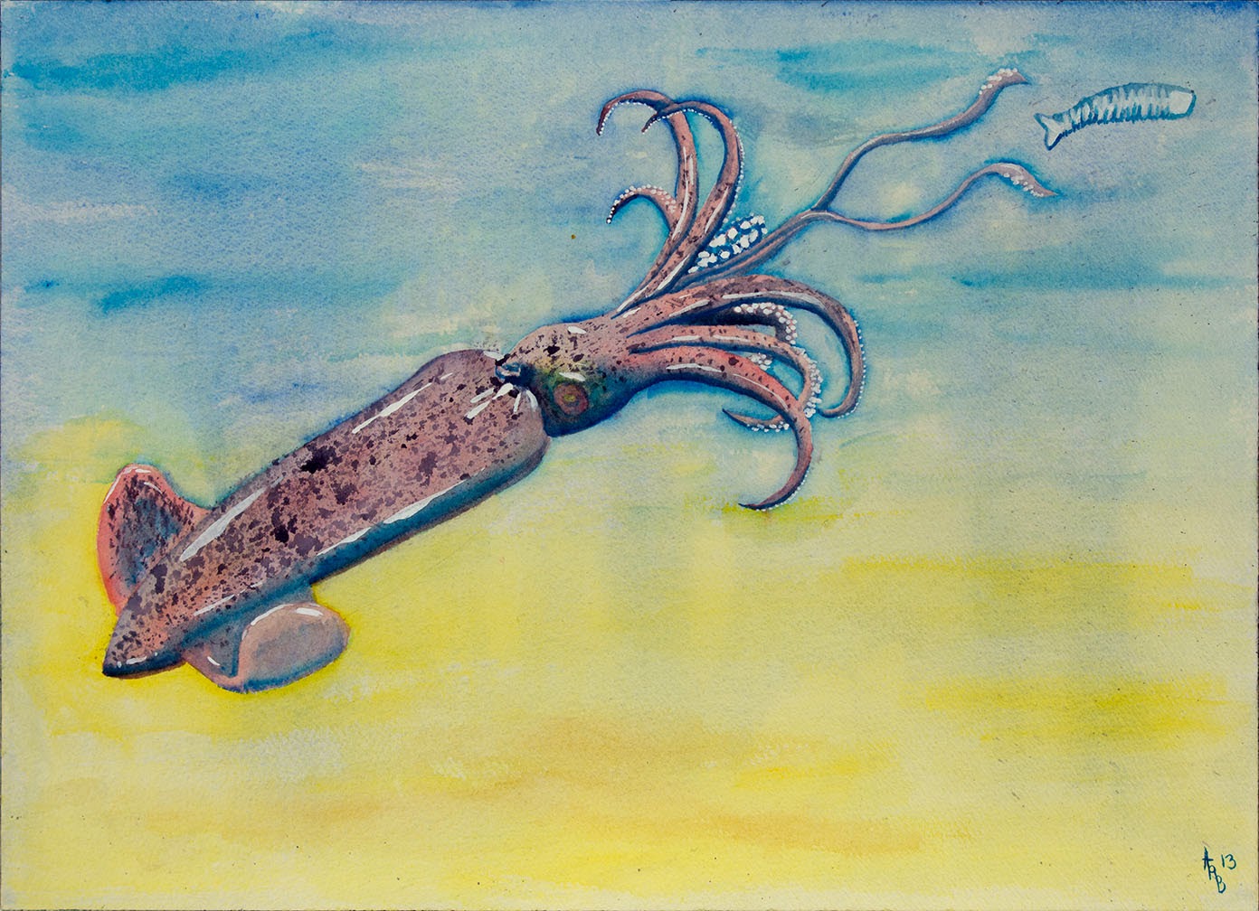 Inky Phalangies Thoughts: Squid