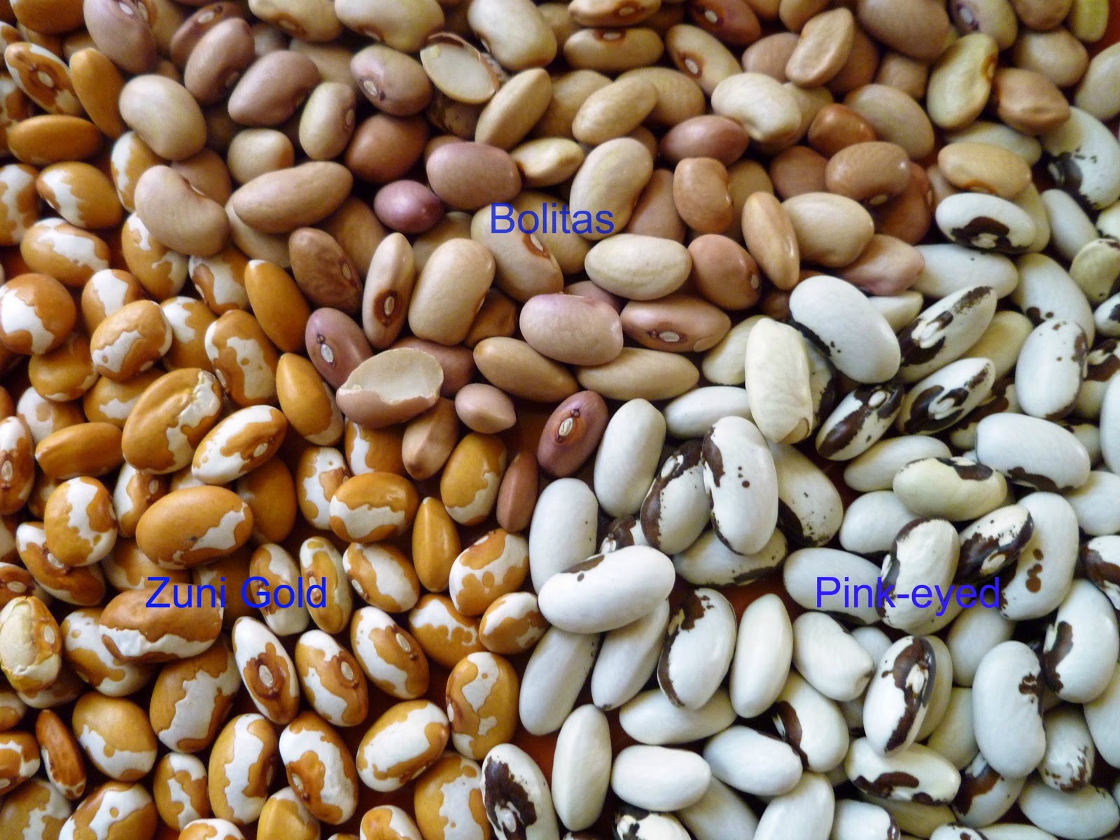 City Home/Country Home: Heritage Beans and Vinegar (Best Souvenirs Ever!)