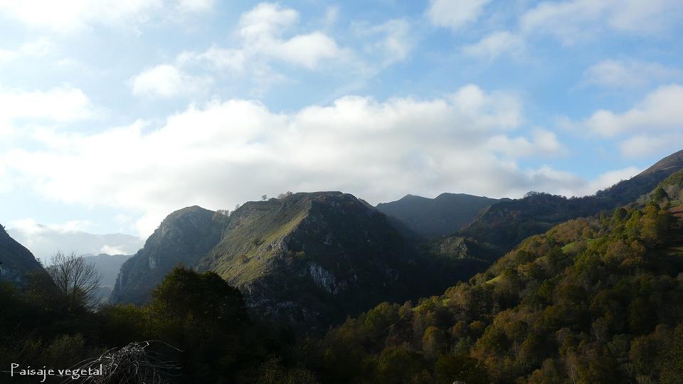 Paisaje vegetal: Paseo de Sevares a Ponga