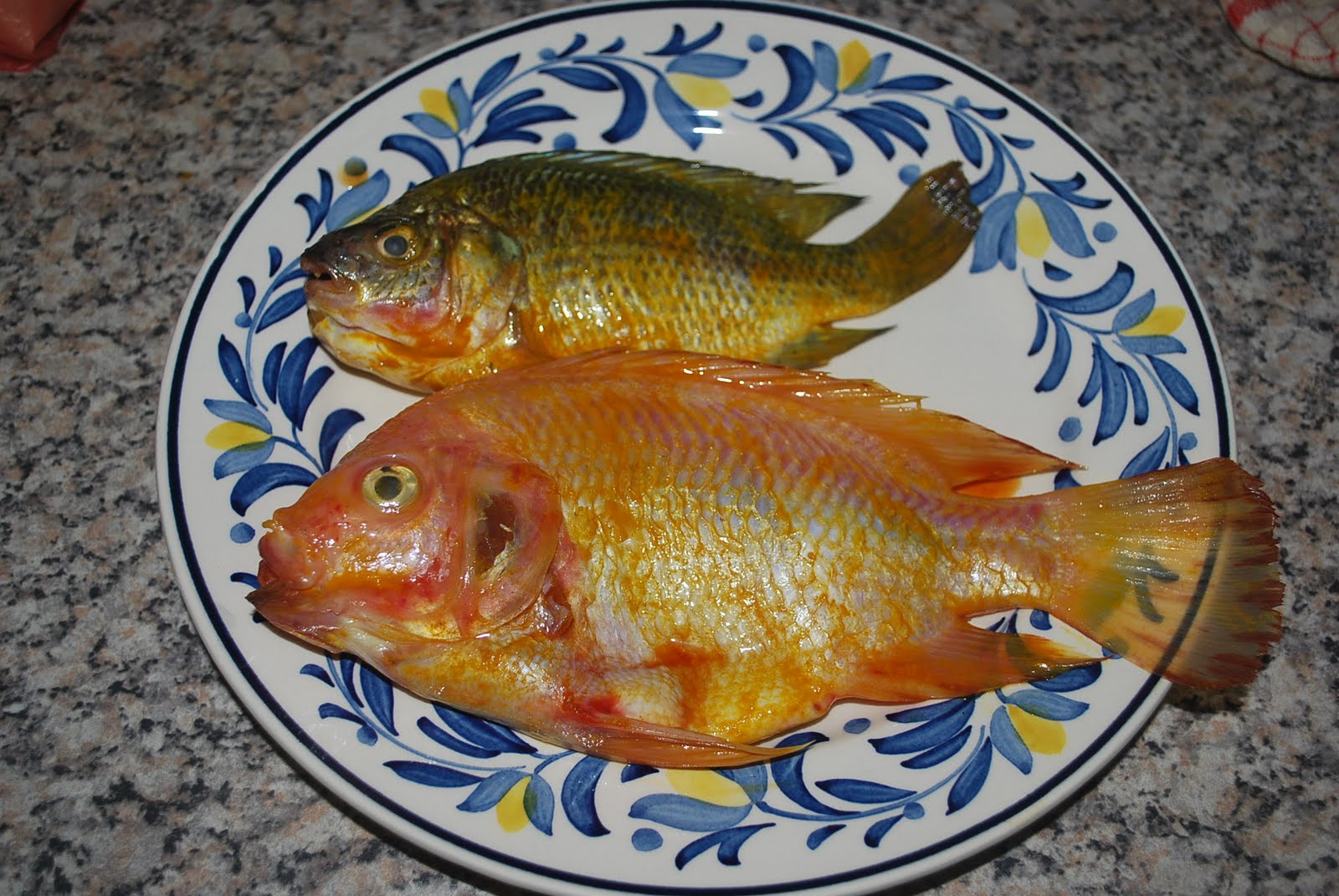 Suria Helang Lui: SHL Journal - Producing Tasty Fresh Water Fish