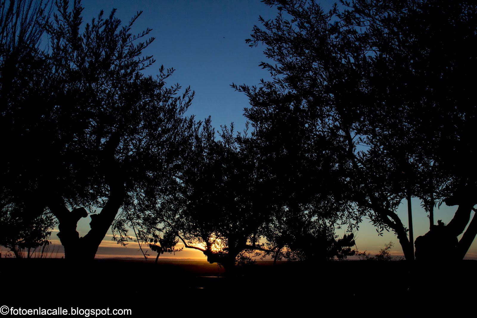 Foto en la Calle: Foto en la Calle: Contraluz