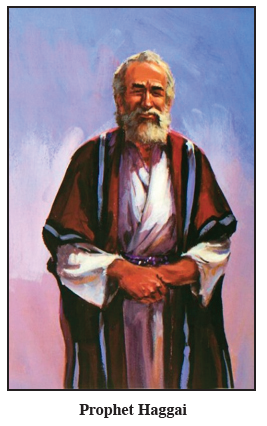 Bible Summary - my words : 45 Haggi