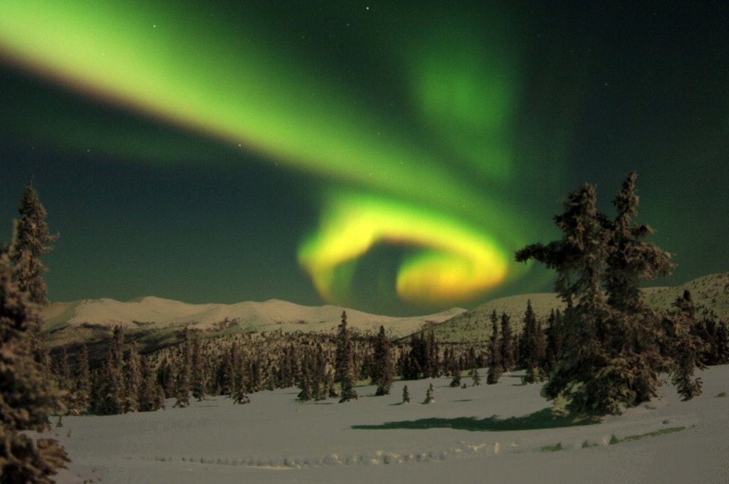 Alaska -The Land of Adventure and Must Visit Tourist Place for Cruise ...