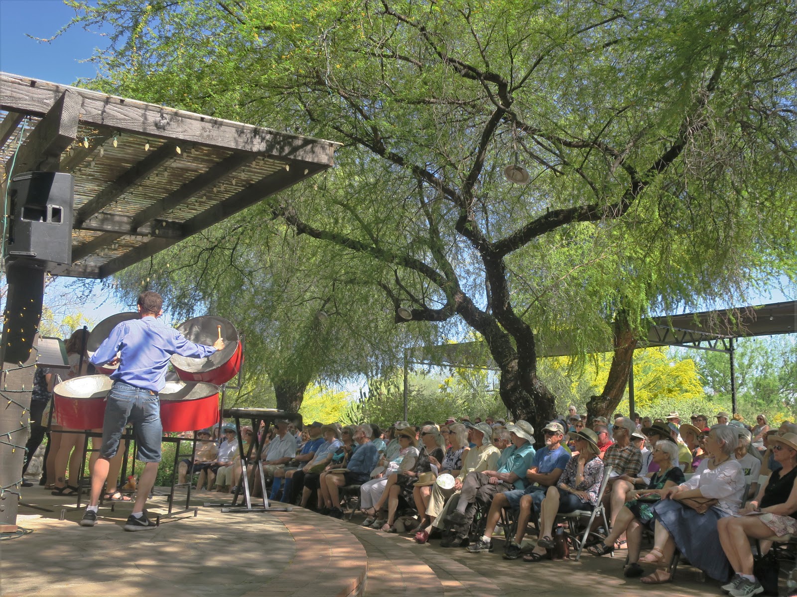 Living Rootless: Tucson, AZ: Tohono Chul: Steel Beats