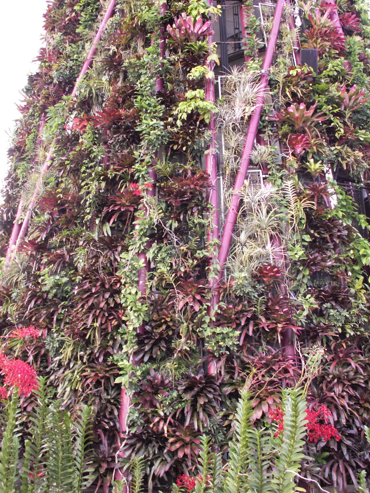 Travel Rocks My World: Made in Singapore: The Iconic Super Trees at ...