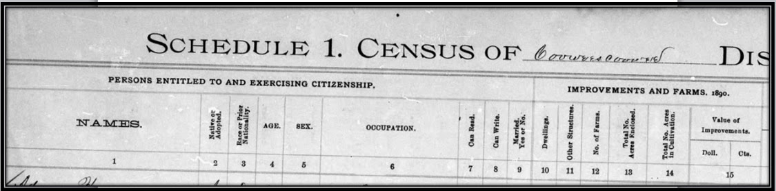 My Ancestor's Name: Exploring the Cherokee 1890 Census