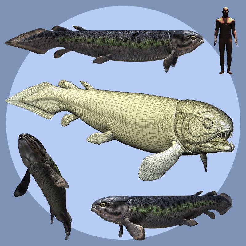 Paleontología en Colombia: Peces devónicos de Colombia, diversidad en ...