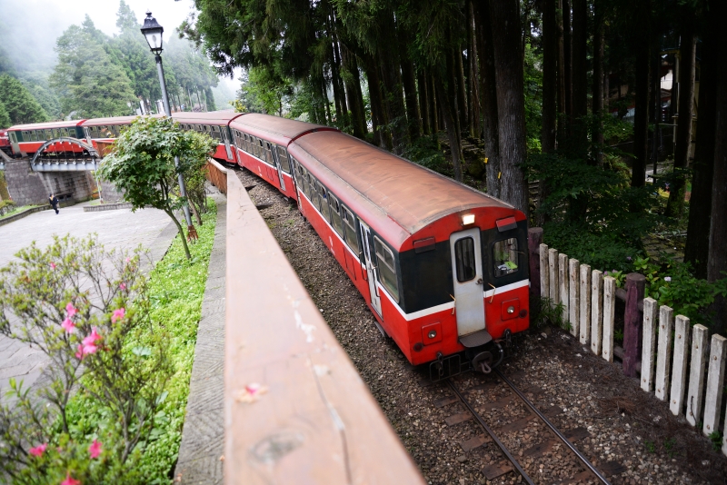 Endless Traveling Map: The Alishan Forest Railway, Taiwan