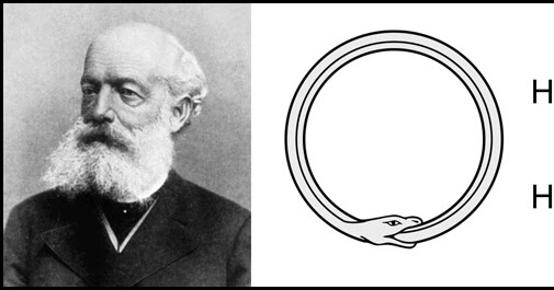 Benzeen en muconzuur