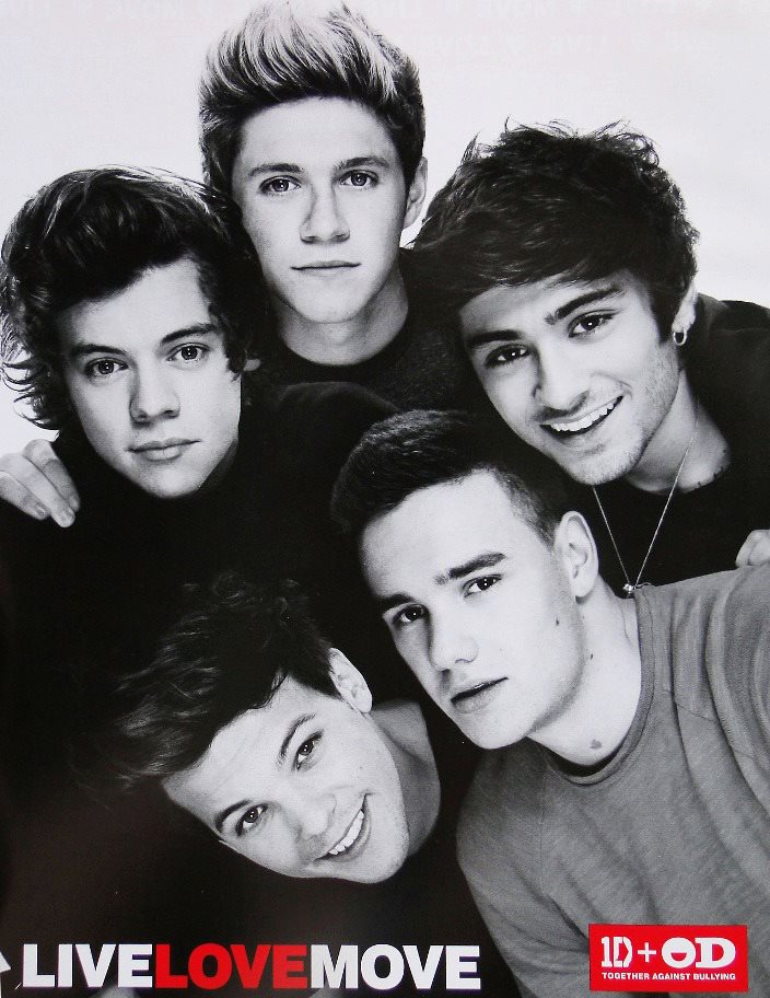 One Direction: Together Against Bullying