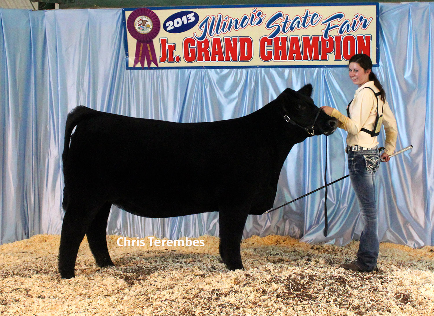Executive Sires, Inc.: 2013 Illinois State Fair - Champion Mainetainer ...