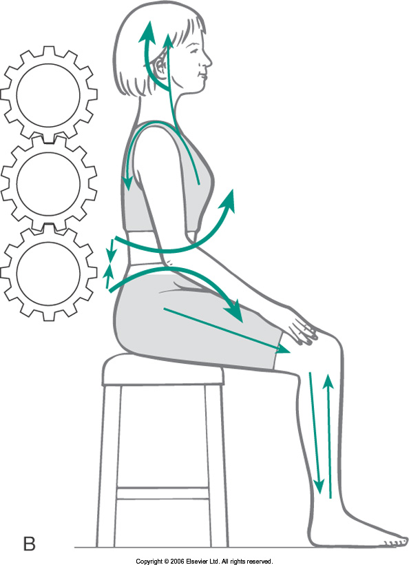 Movement and Moments: Monday Moves: The Brugger Cog Wheel