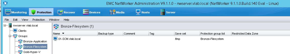Bhaven Parmar's Blog: Networker Backup automation using REST API