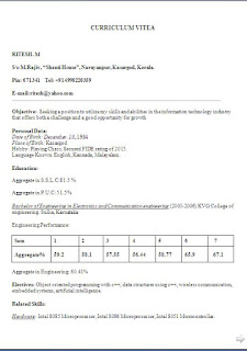 the best cv examples