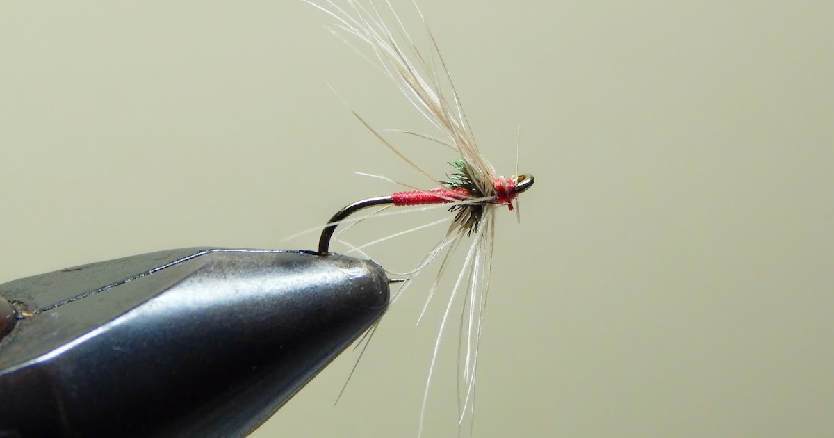 Small Stream Reflections: A Couple Of North Country Spiders