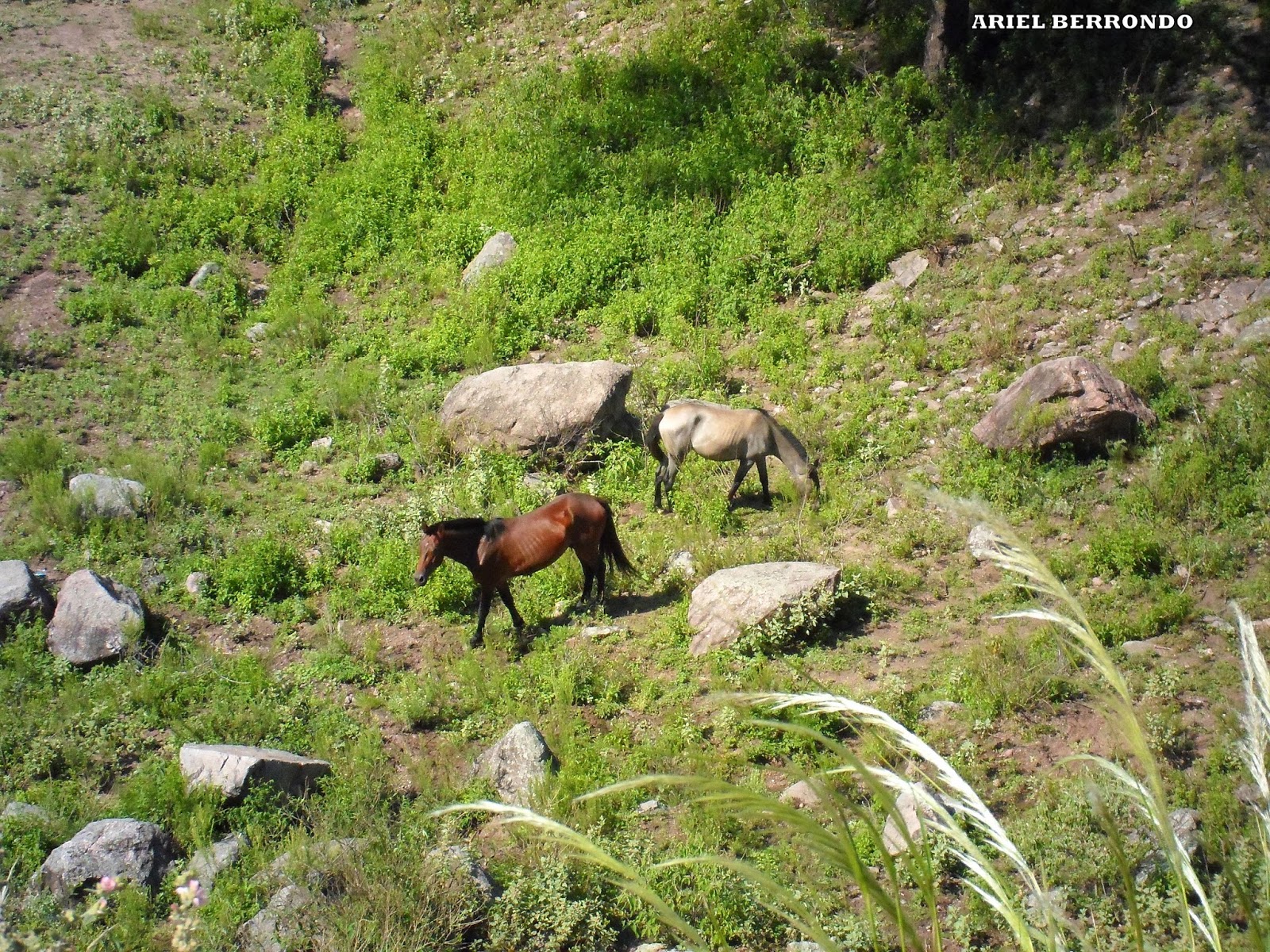 Fotografia de Paisajes y Naturaleza: La Majada, departamento Ancasti