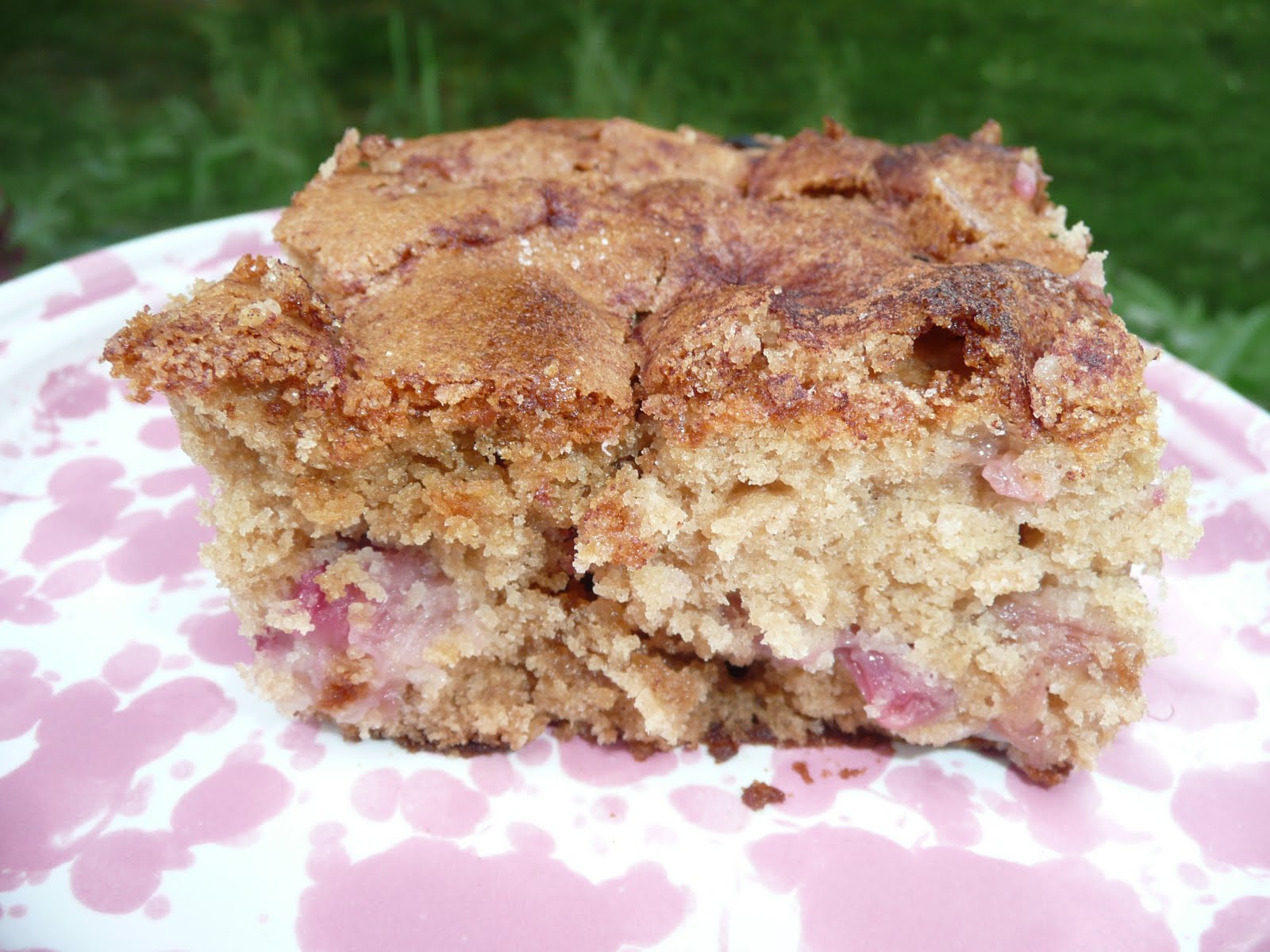 Everyday Dutch Oven: Fabulous Rhubarb Cake