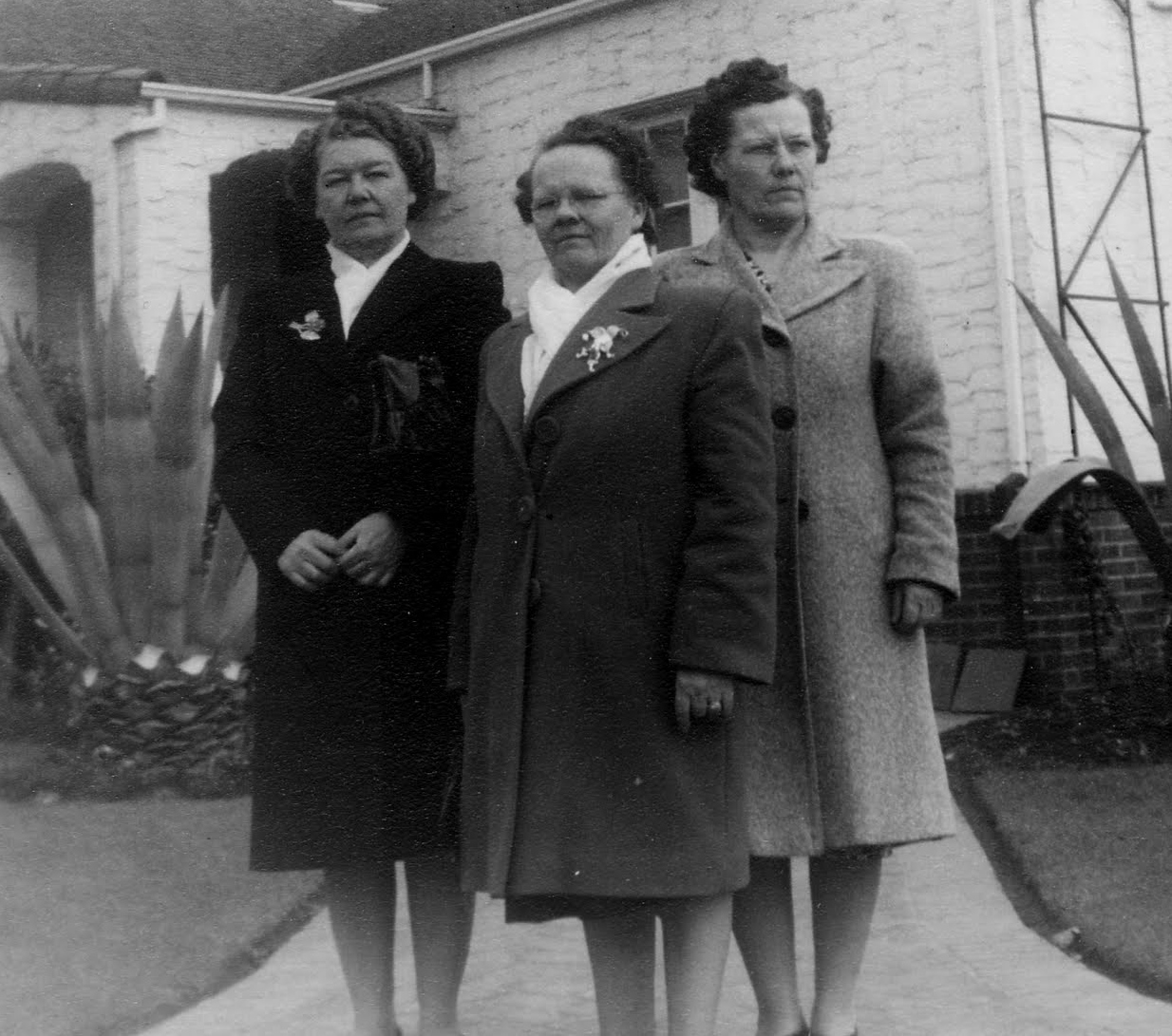 Nordic Blue: A Tribute to Great Aunties: The Johnson Sisters