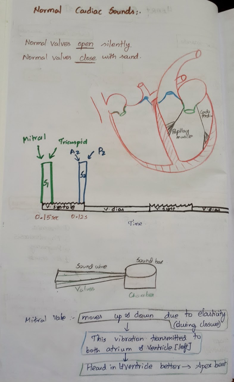 MEDGOAL: NORMAL HEART SOUNDS