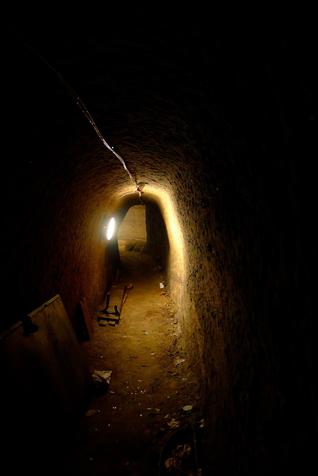 The Walking Encyclopaedia: The Walking Encyclopaedia's Walking Artists ...