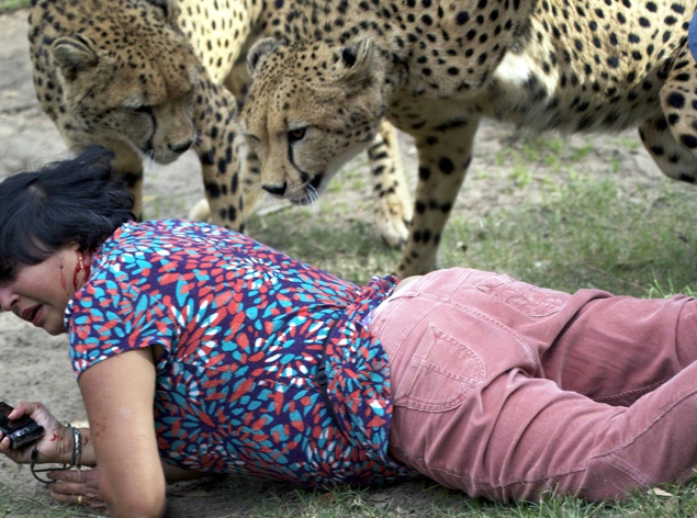 Buzz Kill Ramblings of Tim Louie: HUMAN CHEW TOY?