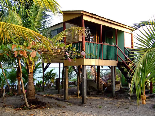 Patti Friday: Gales Point Belize