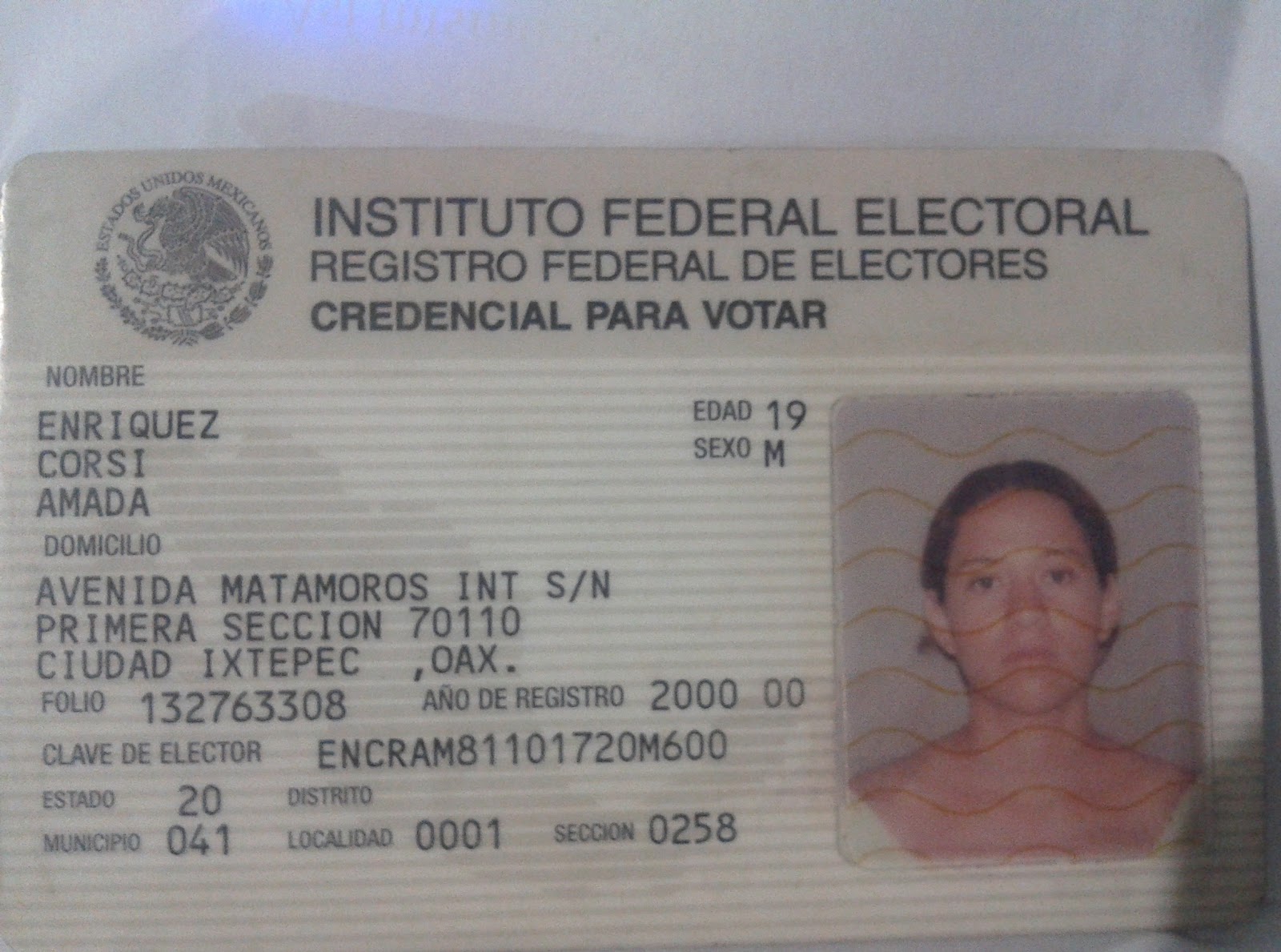 TRIBUNA INFORMATIVA : Renueva IFE credencial de elector; permanece la ...