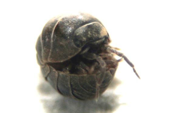 Four 11 and Shrinking: 4/15/12 - 4/22/12