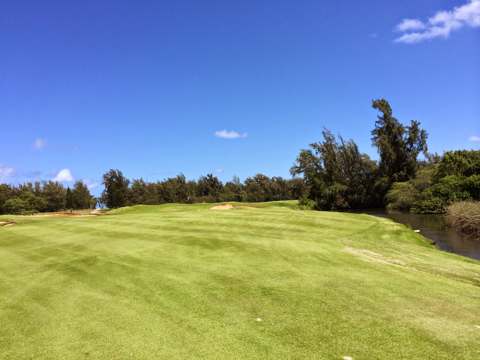 TASTE OF HAWAII: TURTLE BAY GOLF RESORT - THE PALMER COURSE